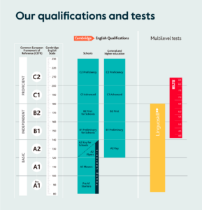 Your certificate - Exams Owl