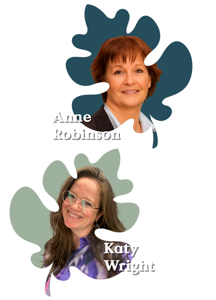 Autumn Teacher Training 2025 – Exams Catalunya - Exams Owl